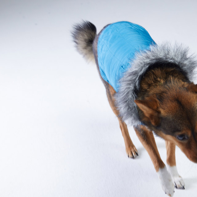 Metric Design Studio - an integrated digital design agency in Shanghai