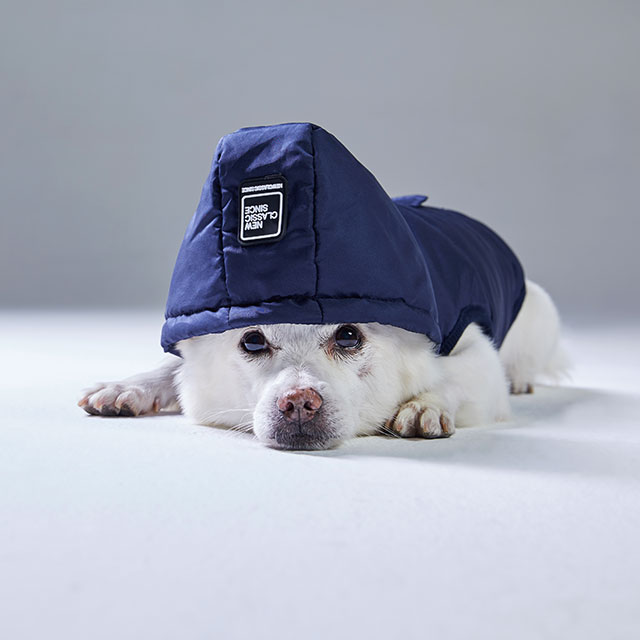 Metric Design Studio - an integrated digital design agency in Shanghai